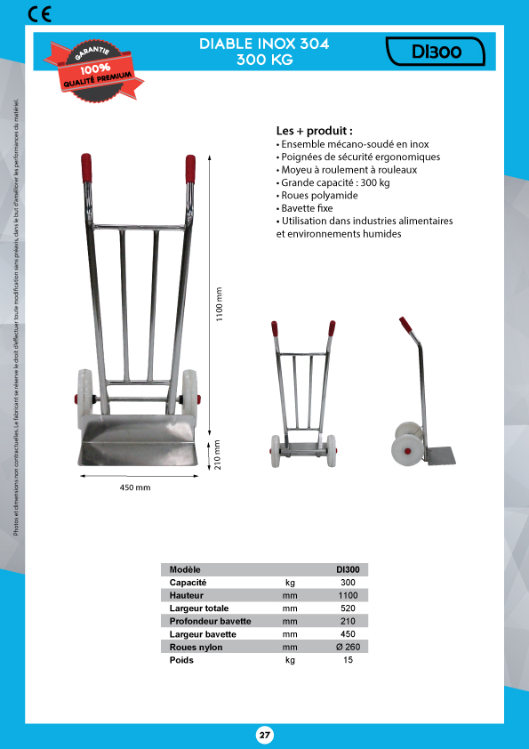 DI300 – Loc Levage